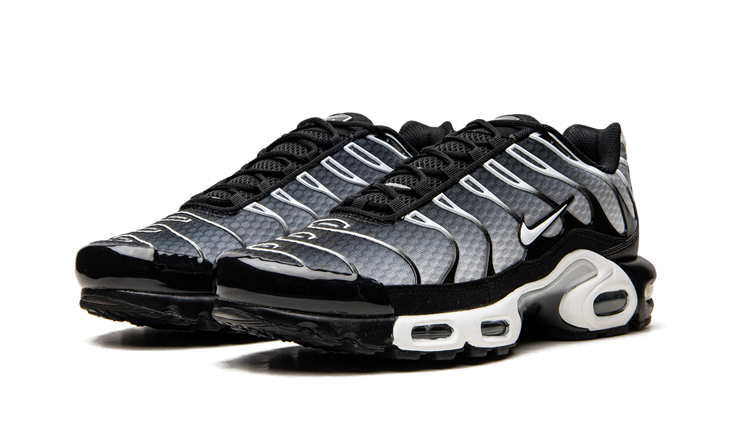 Air Max Plus "Black / Silver" DM0032 003 – Unify Original